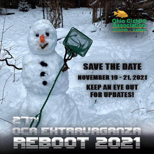 Ohio Cichlid Association