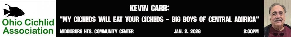 Ohio Cichlid Association