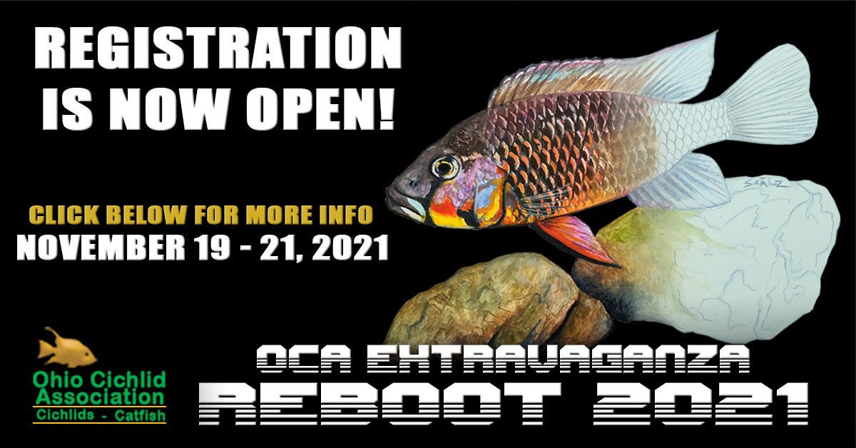 Ohio Cichlid Association